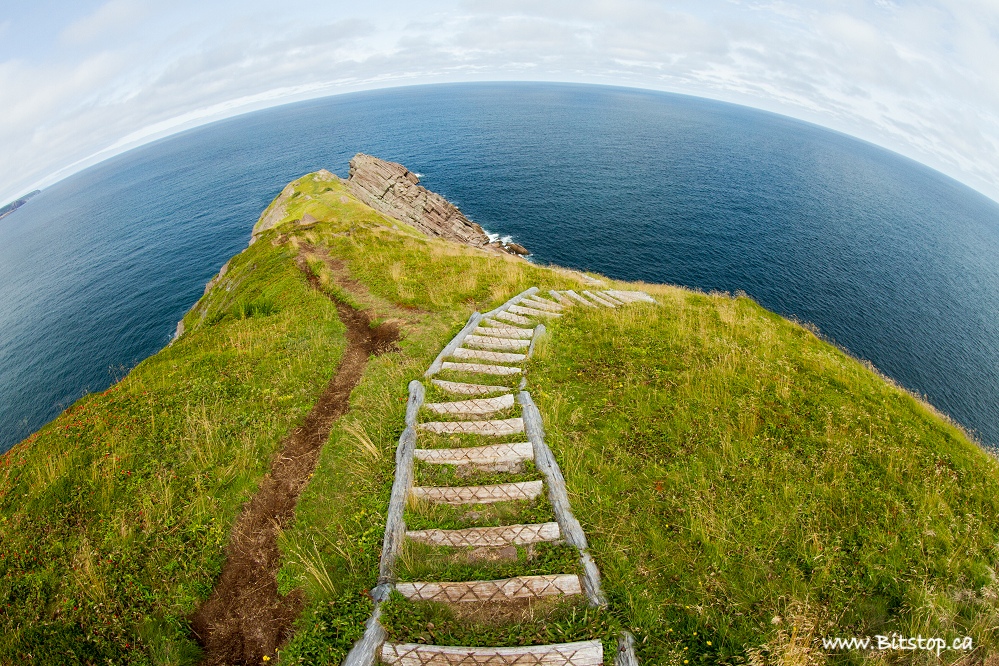 Bitstop: Torbay Point