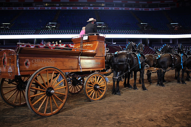 Eaglesfield Percherons: 2016 Calgary Stampede - Winner of the World ...