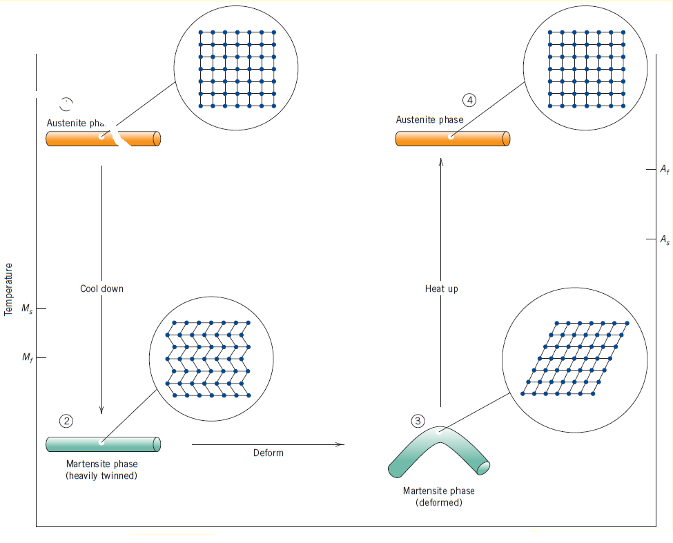 THOUGHT CRACKERS: Shape-Memory Alloys