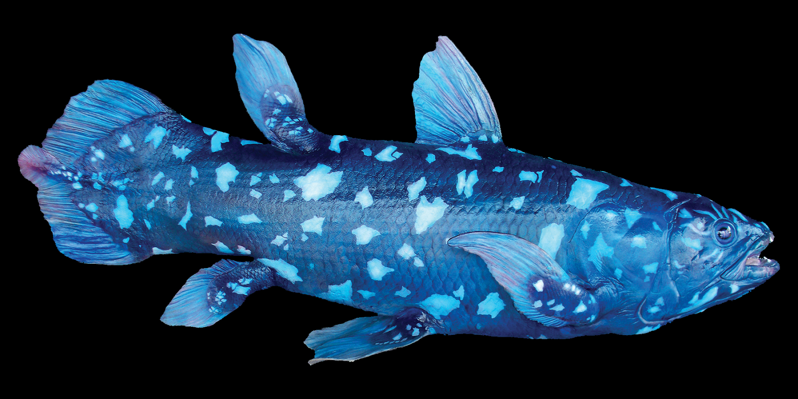 The Expeditioner's Discovery Guild: A little bit of Everything: Museums ...