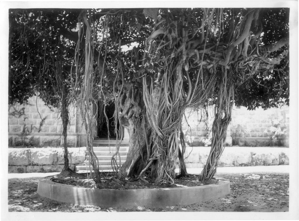 Pearl's Powder: 2012