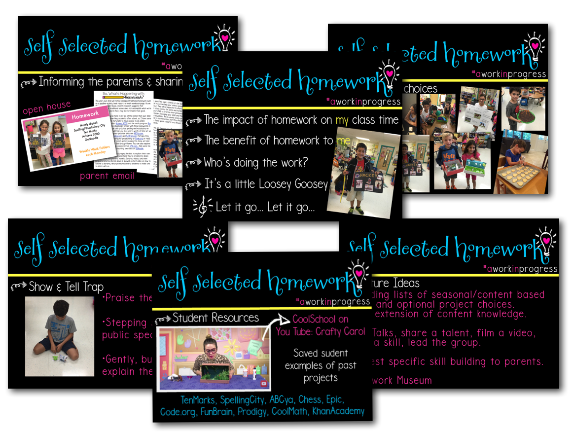 Self-Selected Homework - Sunny Days in Second Grade