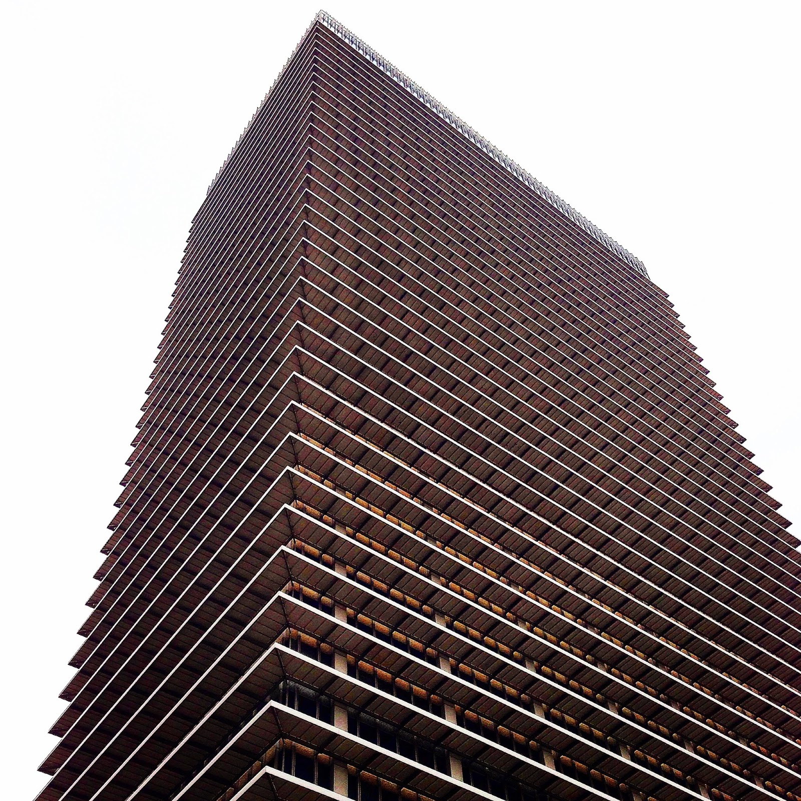 AMIRICA: Architecture