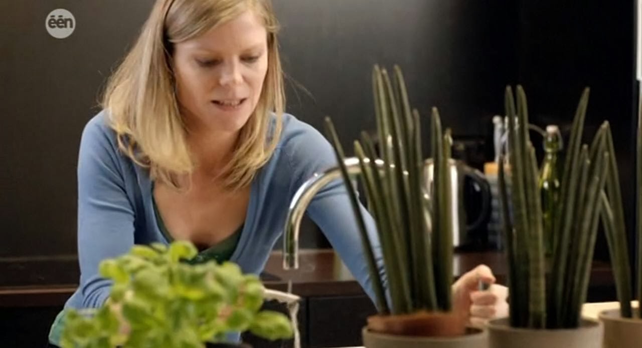 Belgische Madammen en Babes: Inge Paulussen in Witse, Loslopend Wild en ...