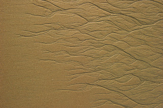 Mr. O'Brien's 2012-13 Period 4 AP Calculus: Mathematics of the Natural ...