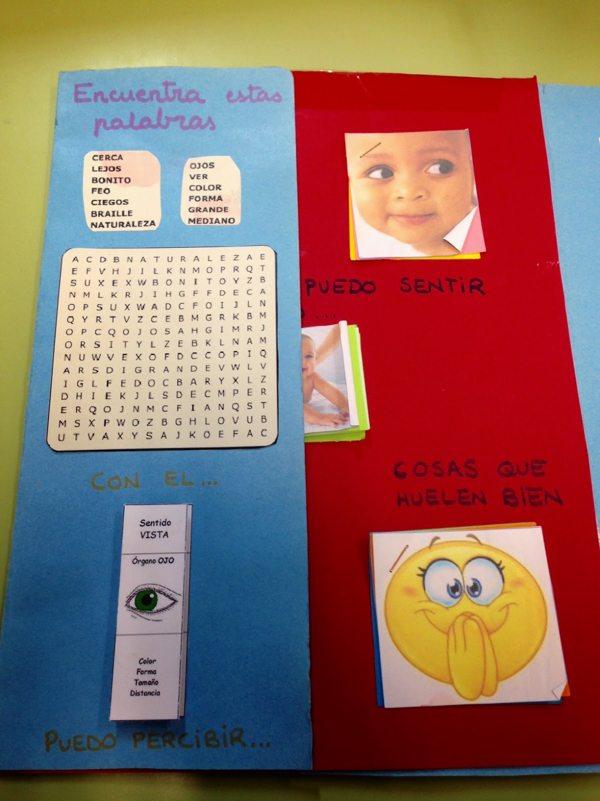 La Lechuza Dice Shhh: Lapbook de los 5 sentidos