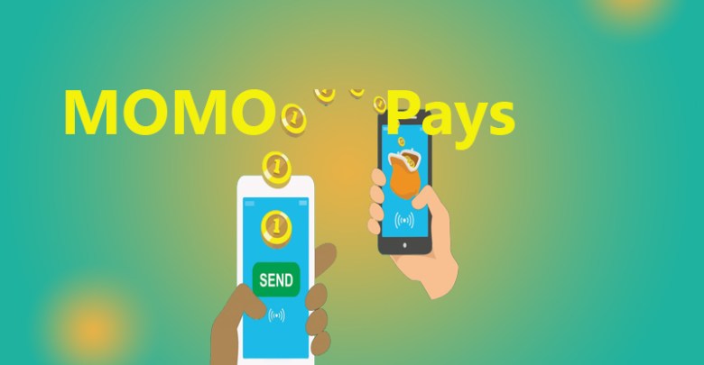Make Money Online In Cameroon with MoMo Pays | WHealth Camp 2