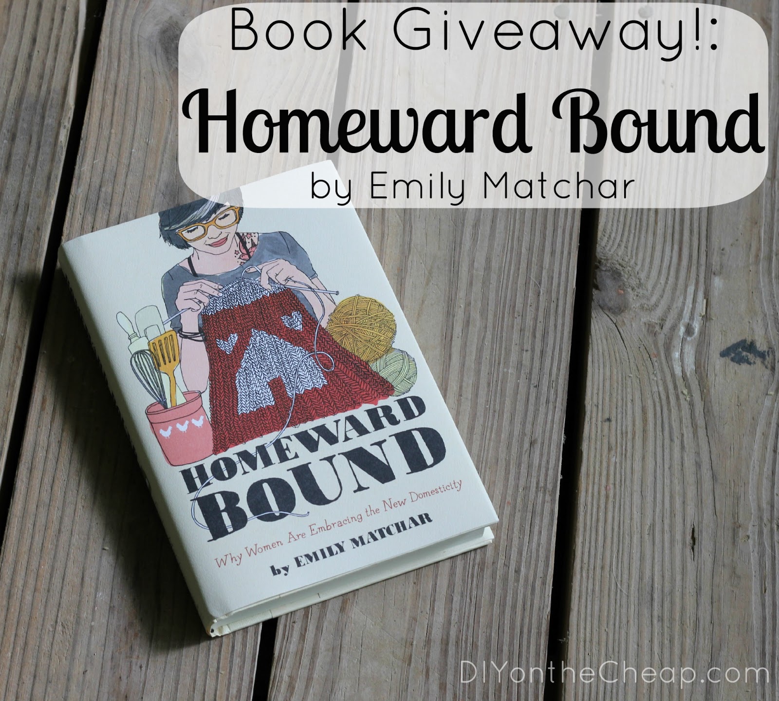 "Homeward Bound" Book Review & Giveaway - Erin Spain