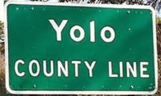Yolo County Logo