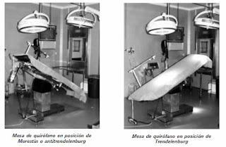 sandriluu: mecanica corporal y Posiciones anatómicas básicas