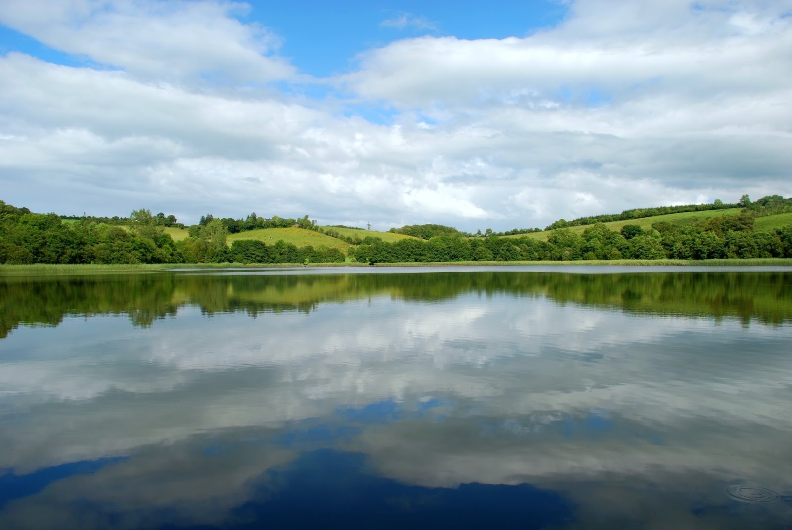 just saying ...: Happy St. Patrick's Day!