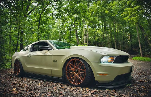 First Choice Wheels and Tires: Lowered Mustang with Copper color wheels