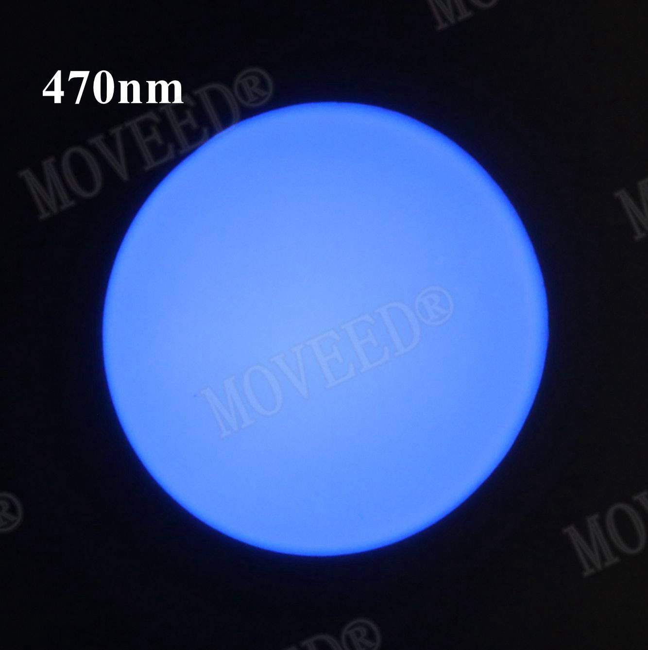 Forensic Light Source Photography