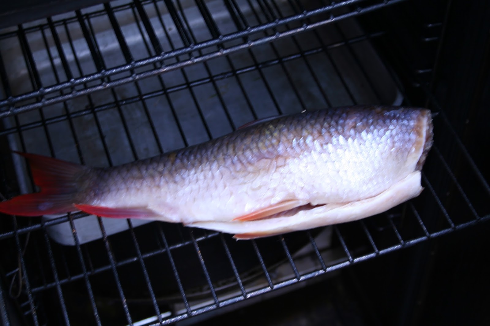 You have to cook it right: Smoked Fish melts