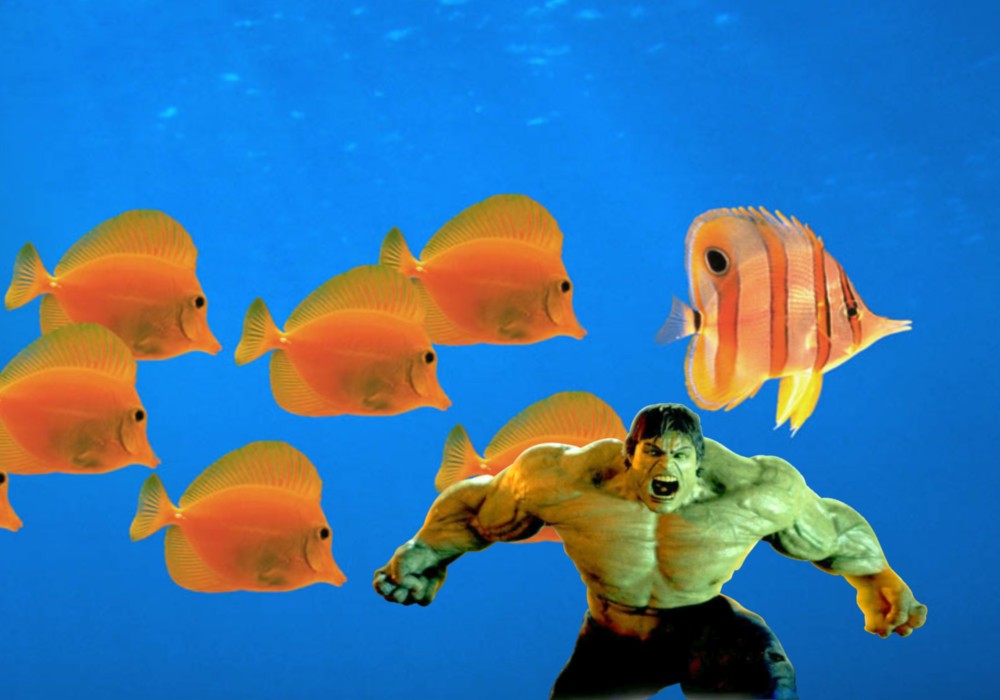 wallpaper design: The Incredible Hulk Free Wallpapers Posters Raging ...