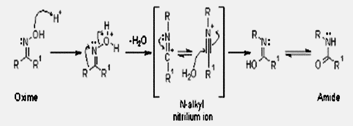 Beckmann Rearrangement - organic reaction mechanisms