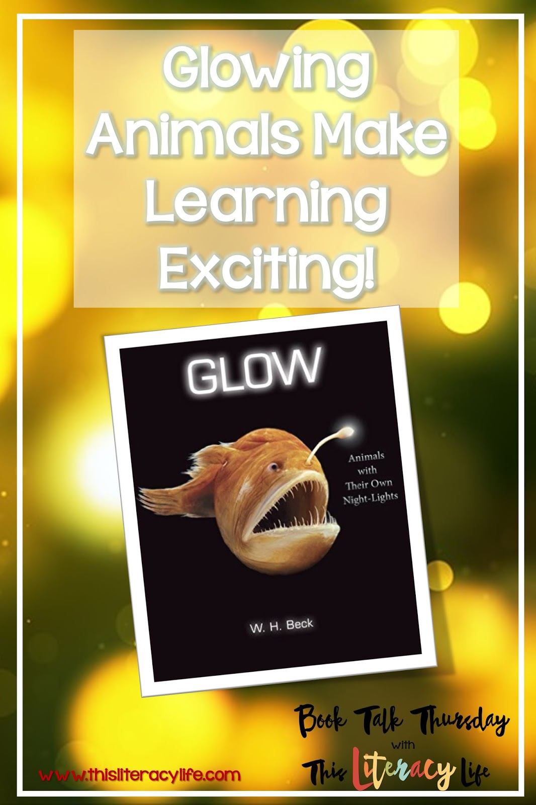 Animals that Glow on Book Talk Thursday | This Literacy Life