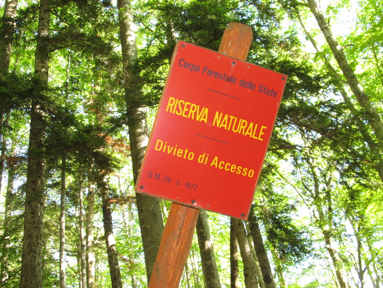 Escursionismo a 360°: Alpe Tre Potenze e Gomito (per il Lago del Greppo) EE