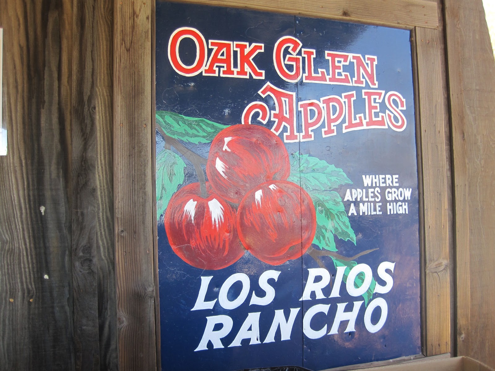 What's for Meat?: Apple picking in Oak Glen