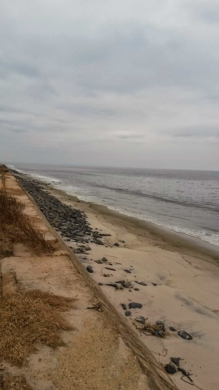 Exploring Congo: Moanda, a weekend at the beach (and Mangrove Forest)