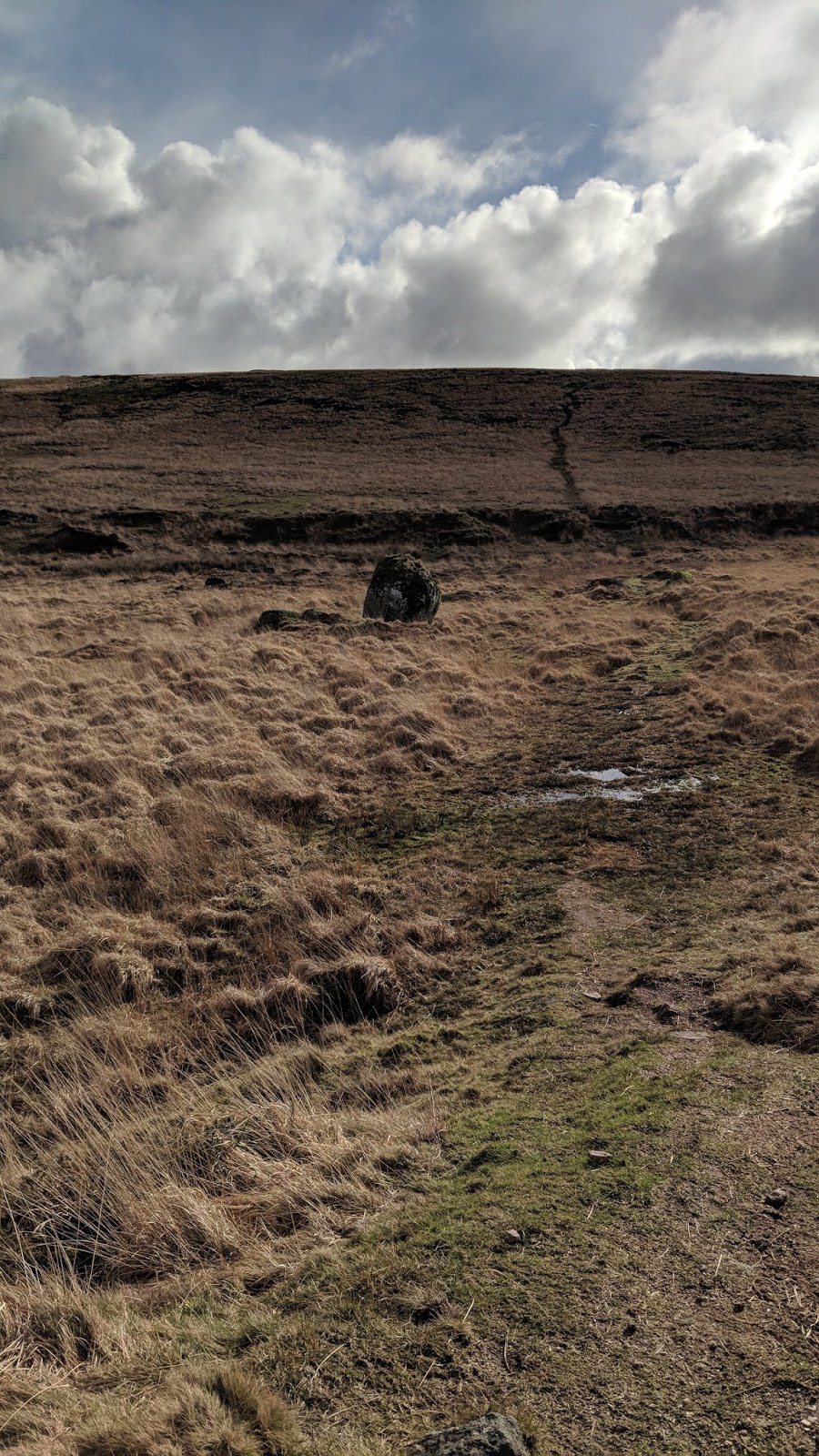 Max Piper - Tor Bagger: Dartmoor: The Tors on Walkhampton Common (Revisit)