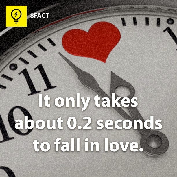 8FACT Blog