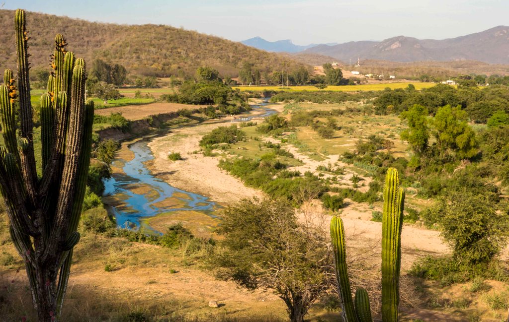 Excursionistas2: La Noria and El Quelite