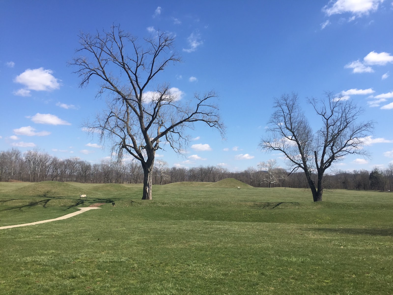 Southern Ohio - an Area of Global Significance?