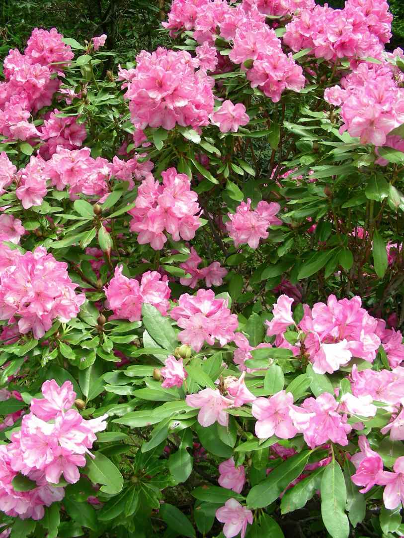 clocktowertenants.com: 7/10/11 - 7/17/11