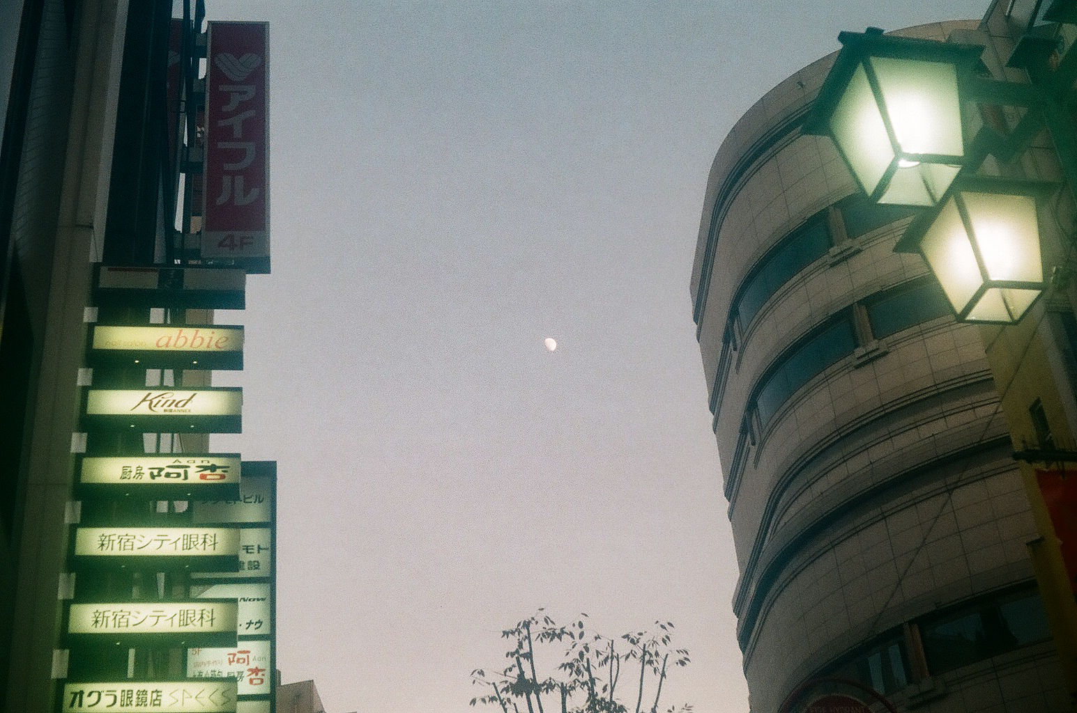 アリバイ日記: 【フィルムカメラ】レンズにクモリ大ありな『PETRI7』での撮影結果『ペトリ会』