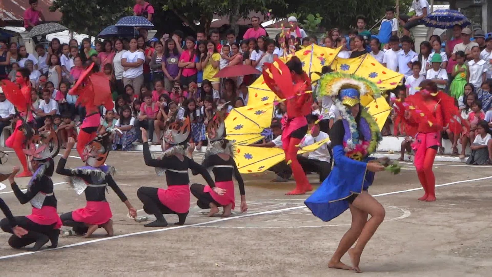 Under A Million Miles Of Sky: The Kinis Festival