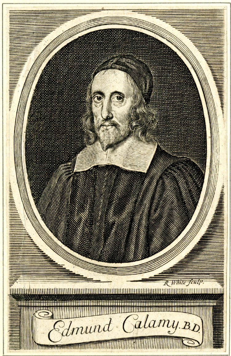 Meditando sobre o pecado - Edmund Calamy | Afeições Puritanas