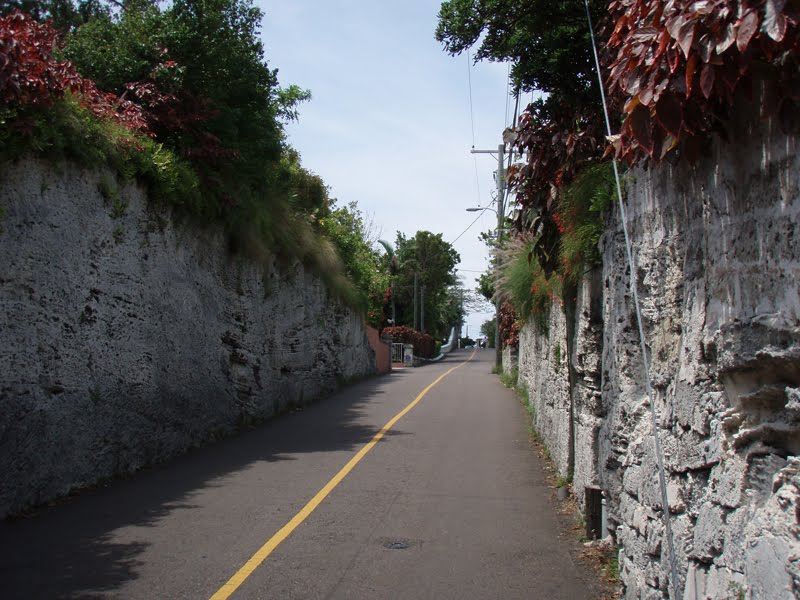 Terry's Travel: Bermuda