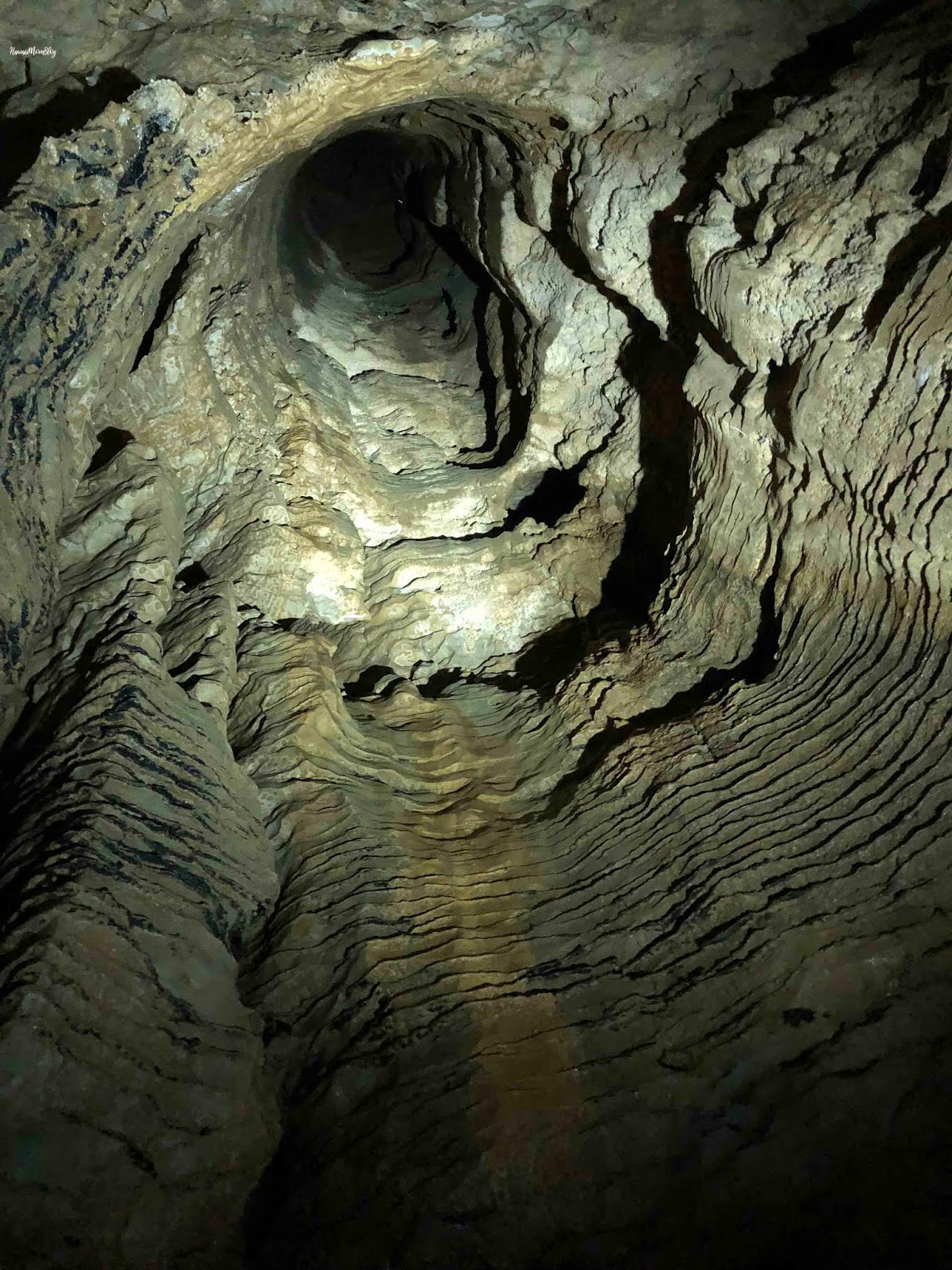 Hawaii Mom Blog: Visit New Zealand: Ruakuri Cave