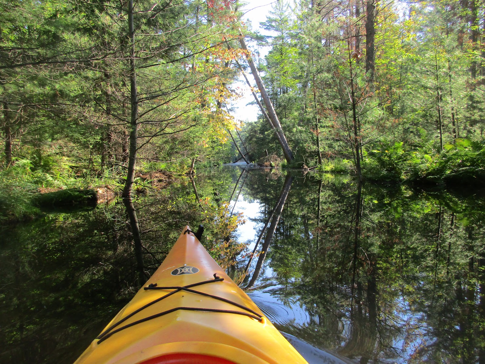 Dave's Yak Tales: Little Spider Lake, Day 5