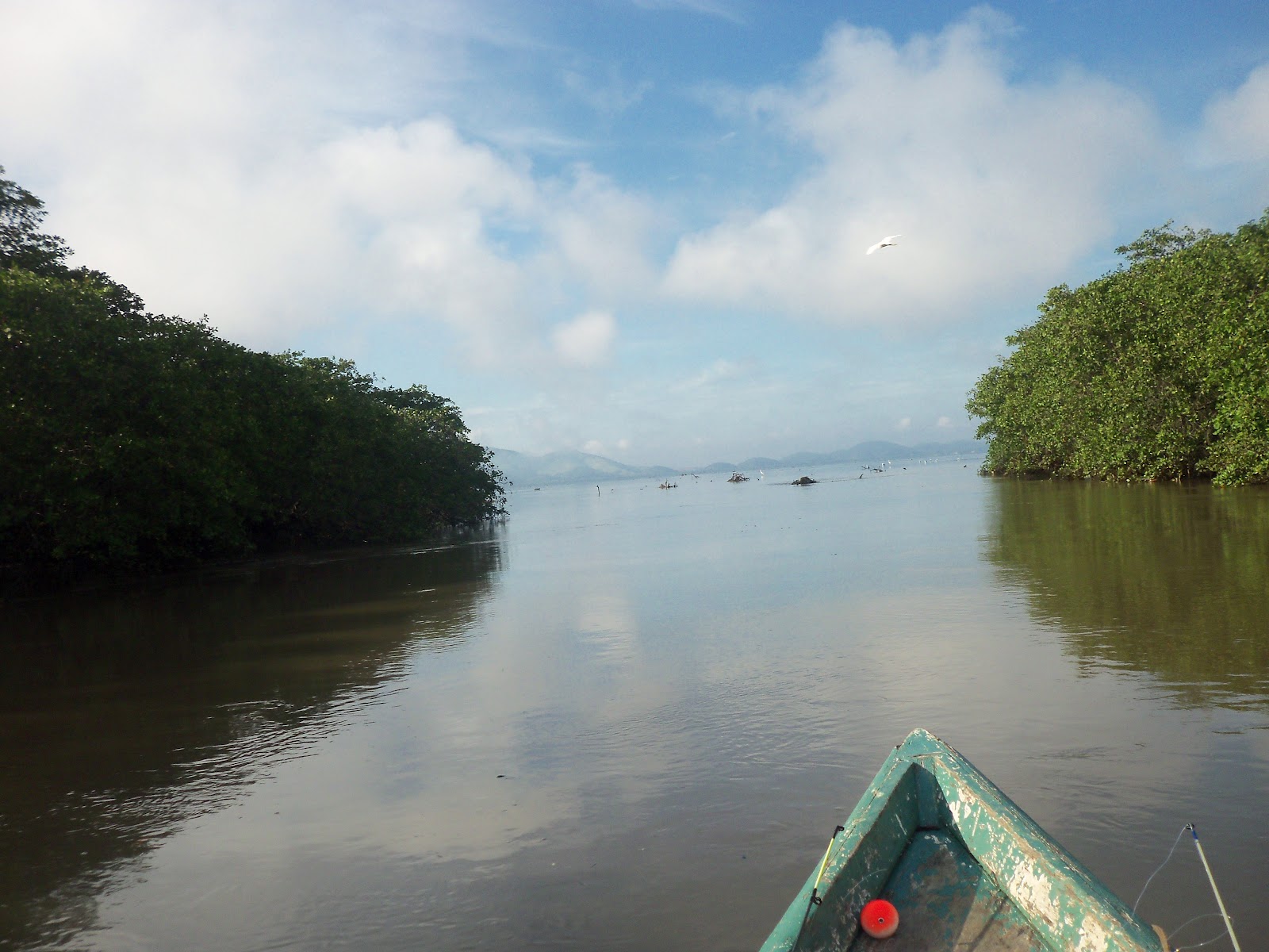 " P.e.a. P. " Pesca entre amigos de Piabetá