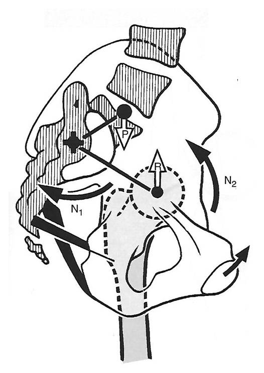 Valoración del movimiento y prescripción de ejercicio: EL SUBSISTEMA ...