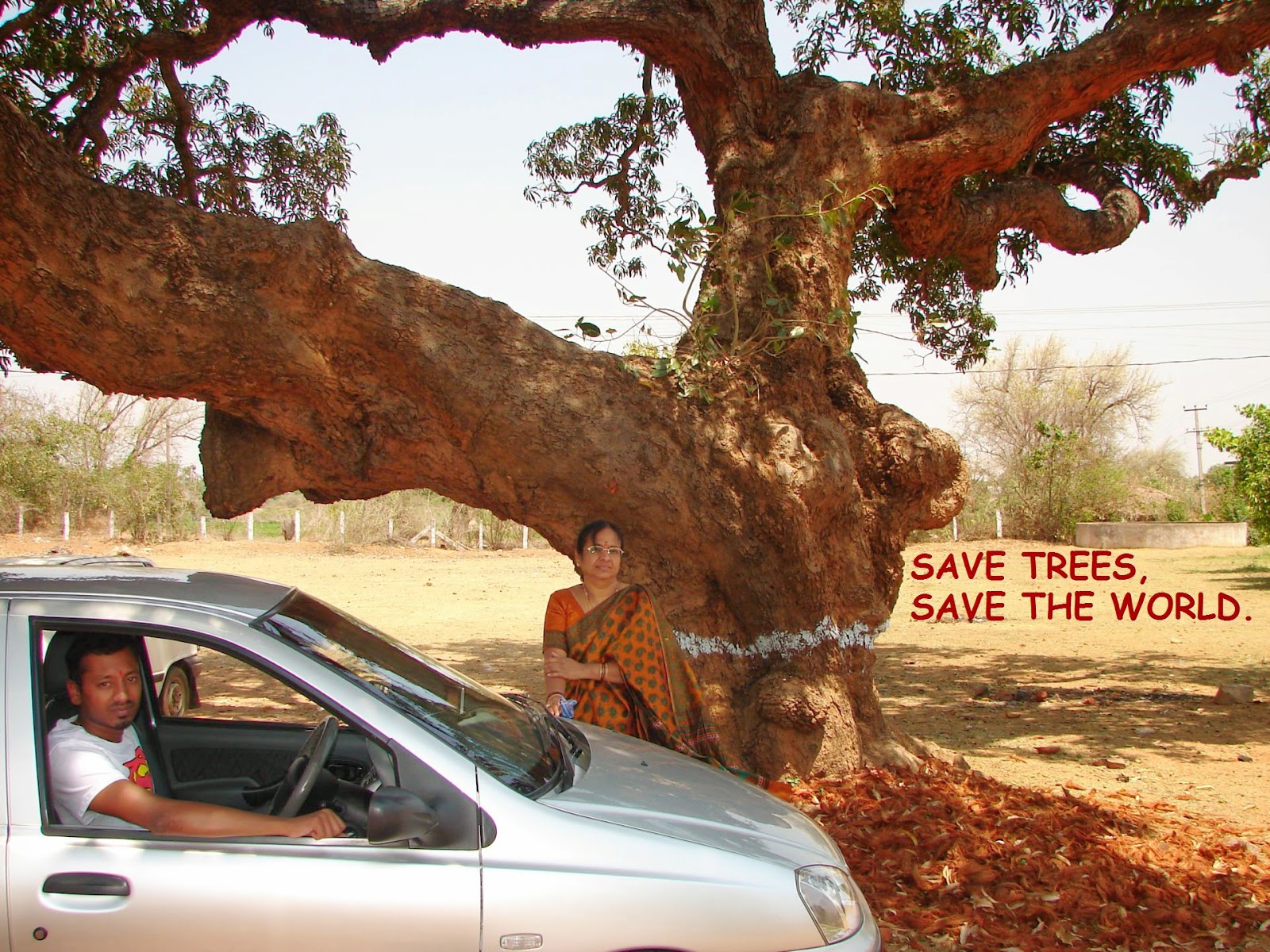Raghu's column!: “Plant Trees, Save Trees” – Posters by Lalitha ... Raghu's column!: “Plant Trees, Save Trees” – Posters by Lalitha ...