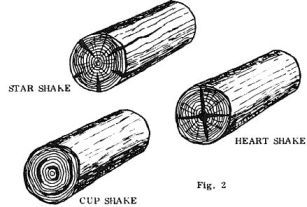 Bansal's Wiki: Defects in wood