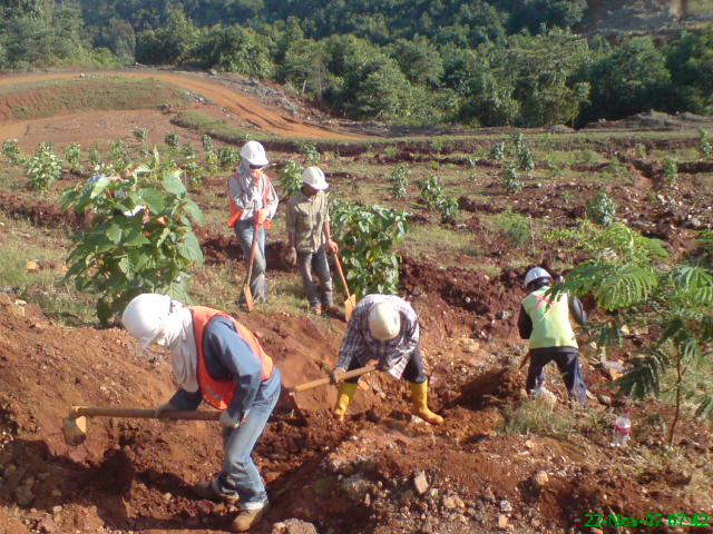 Green Mining: Proses Reklamasi Tambang