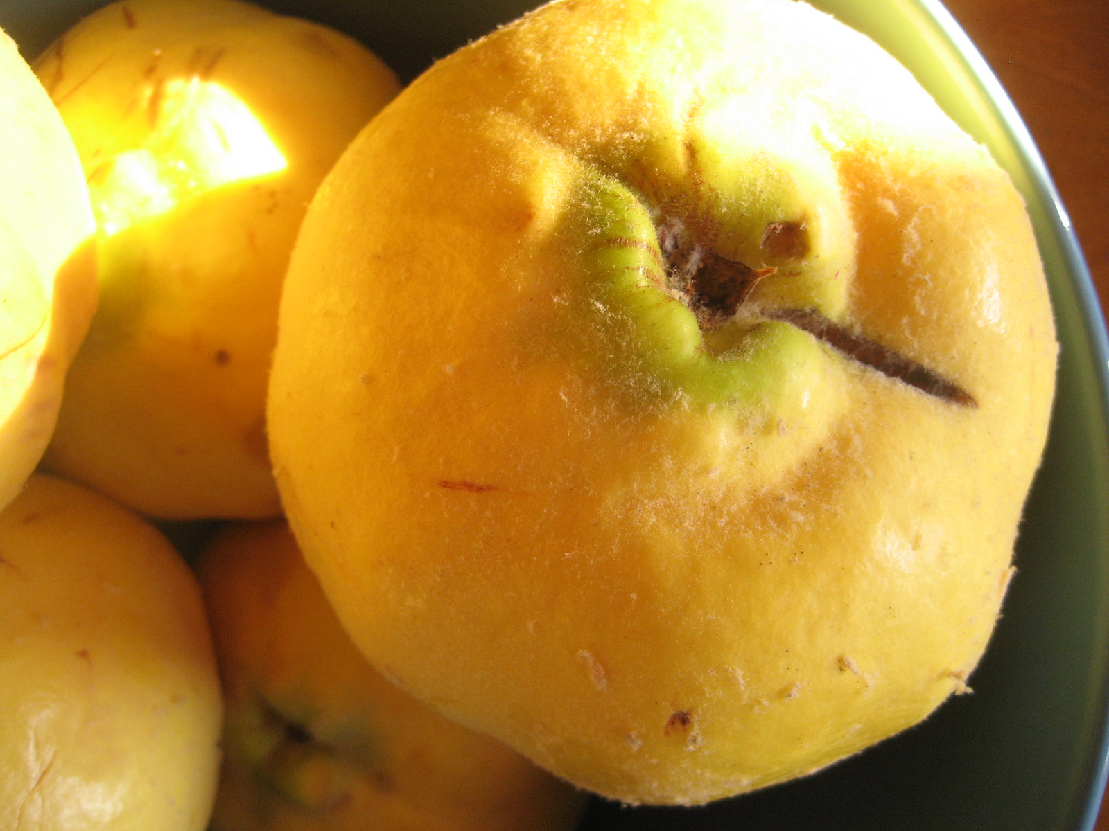 Homemade Trade: Familial Tastes + Preserving Quince