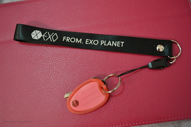 Welcome to EXOPLANET: EXO Strap