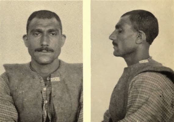 Iranid/Irano-CM examples