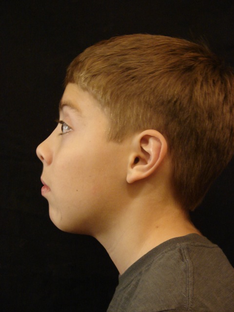 Cromofora La ( Paloma) Contemporary Online Art Gallery: DANIEL MAIDMAN