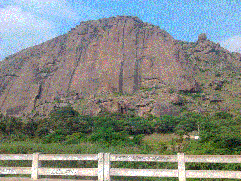 Infobook : Amirthi Zoo - Tamilnadu - English