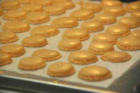 Food for Torte: The Elusive Macaron