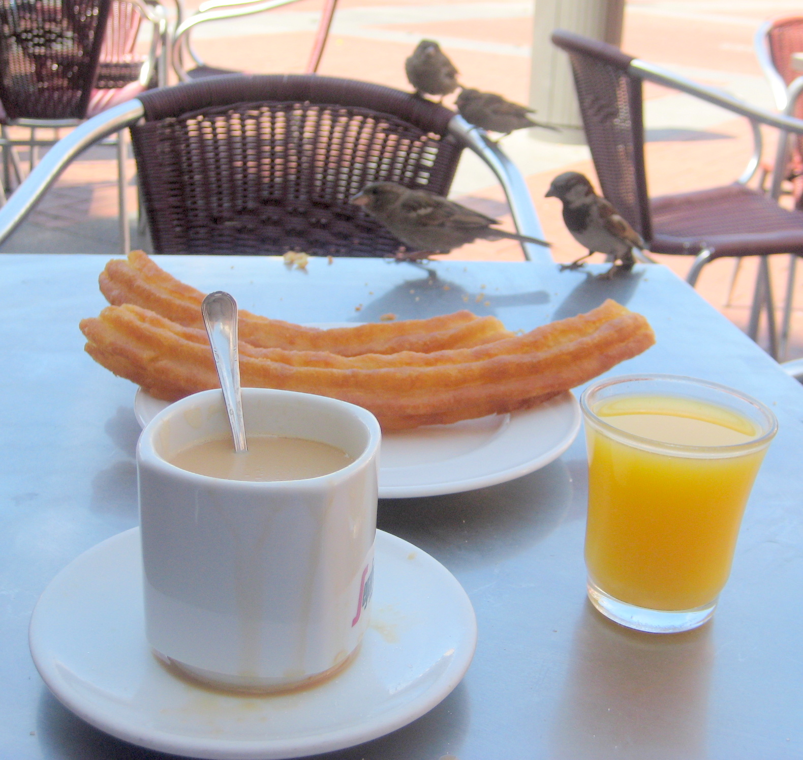 VENTANAS AL PENSAMIENTO: GORRIONES GORRONES