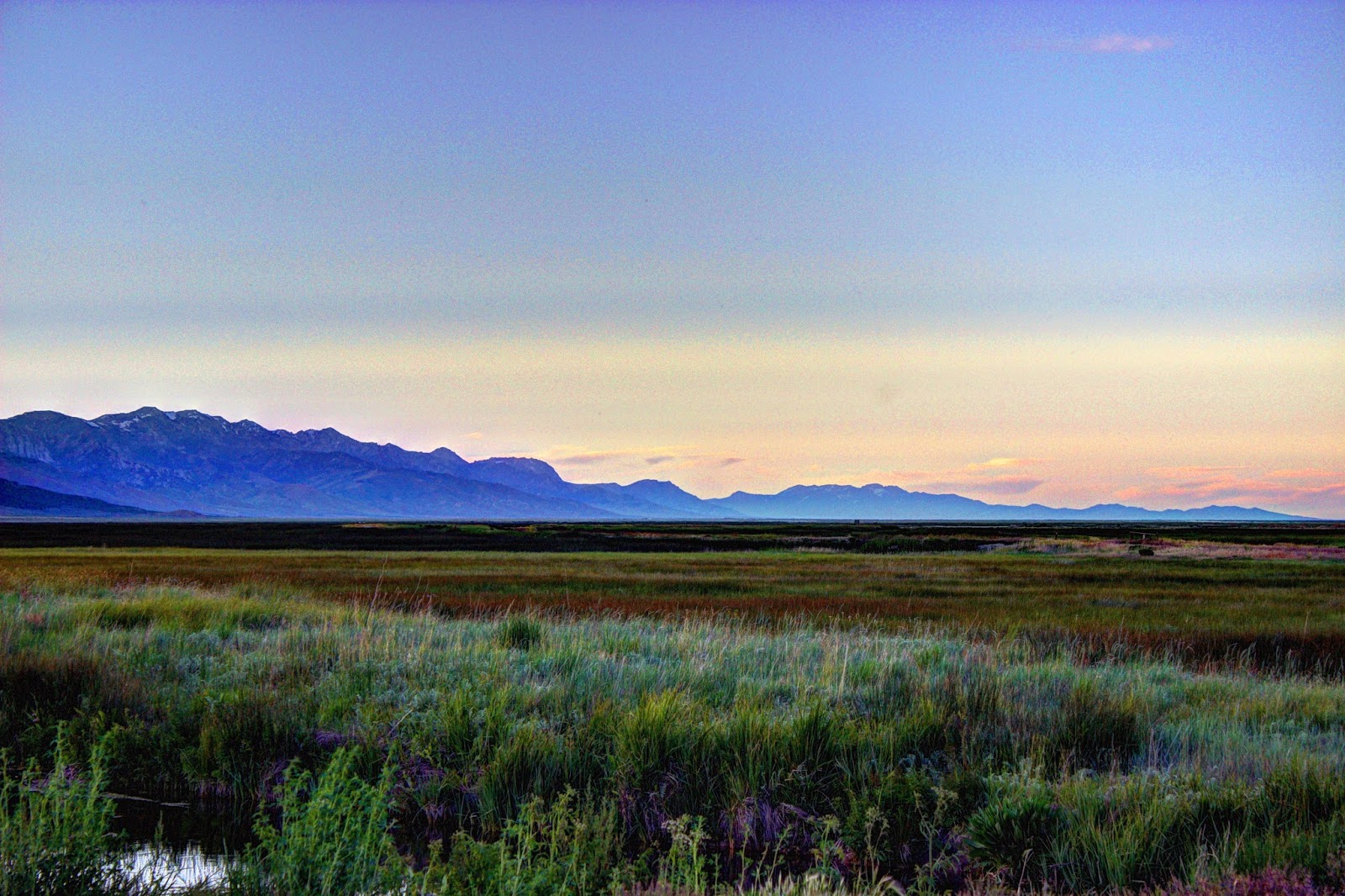 Erik’s Fly Fishing Blog: Ruby Marsh