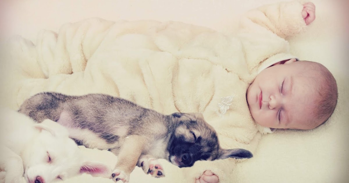 Pro-birth is Not Enough