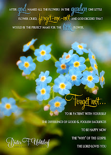 Picket Fence Publications: Free Forget-Me-Not Printable